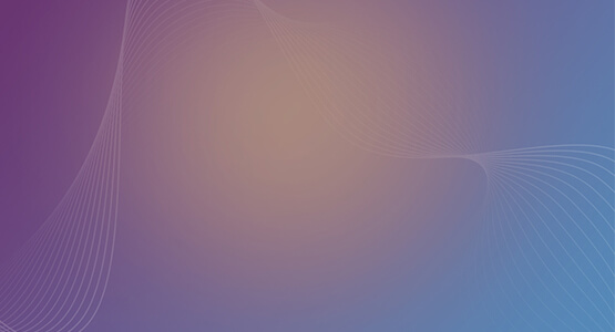 Web Application Development Services | W3villa Technologies